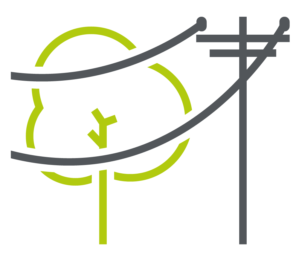 alectraNews Summer 2021 | Alectra Utilities