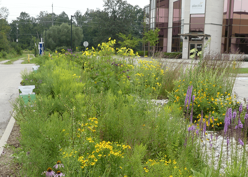 alectraNews Spring 2024 | Alectra Utilities